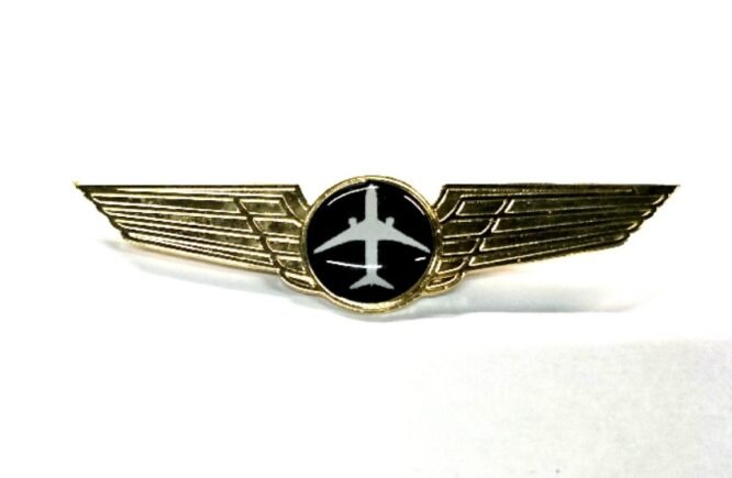 Black aircraft Uniform Wings Gold Electro-Plated Badge for Pilots ...