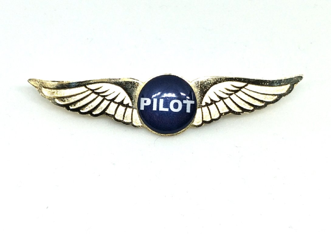 PILOT blue gold premium wing – Pilot 18.com-Fly High Fly Safe