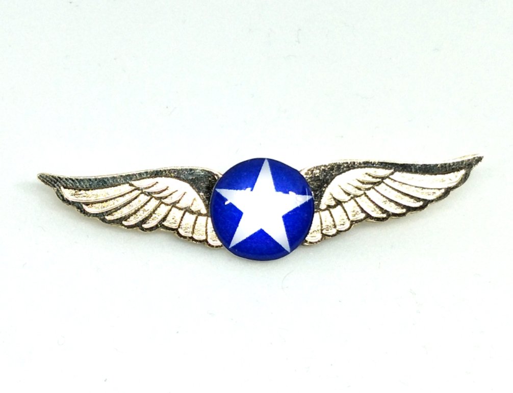 blue star gold premium wing – Pilot 18.com-Fly High Fly Safe