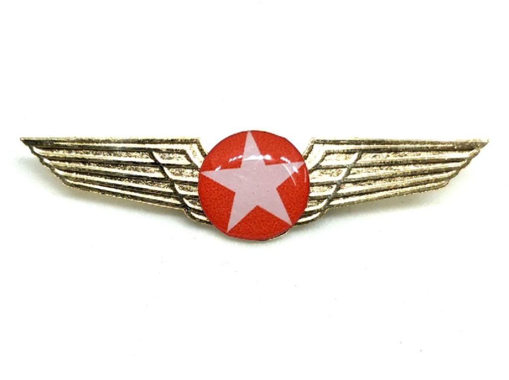 red star gold wing – Pilot 18.com-Fly High Fly Safe